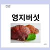 영지버섯 효능 부작용 영지버섯 가격 영지버섯차 먹는법 네이버 블로그